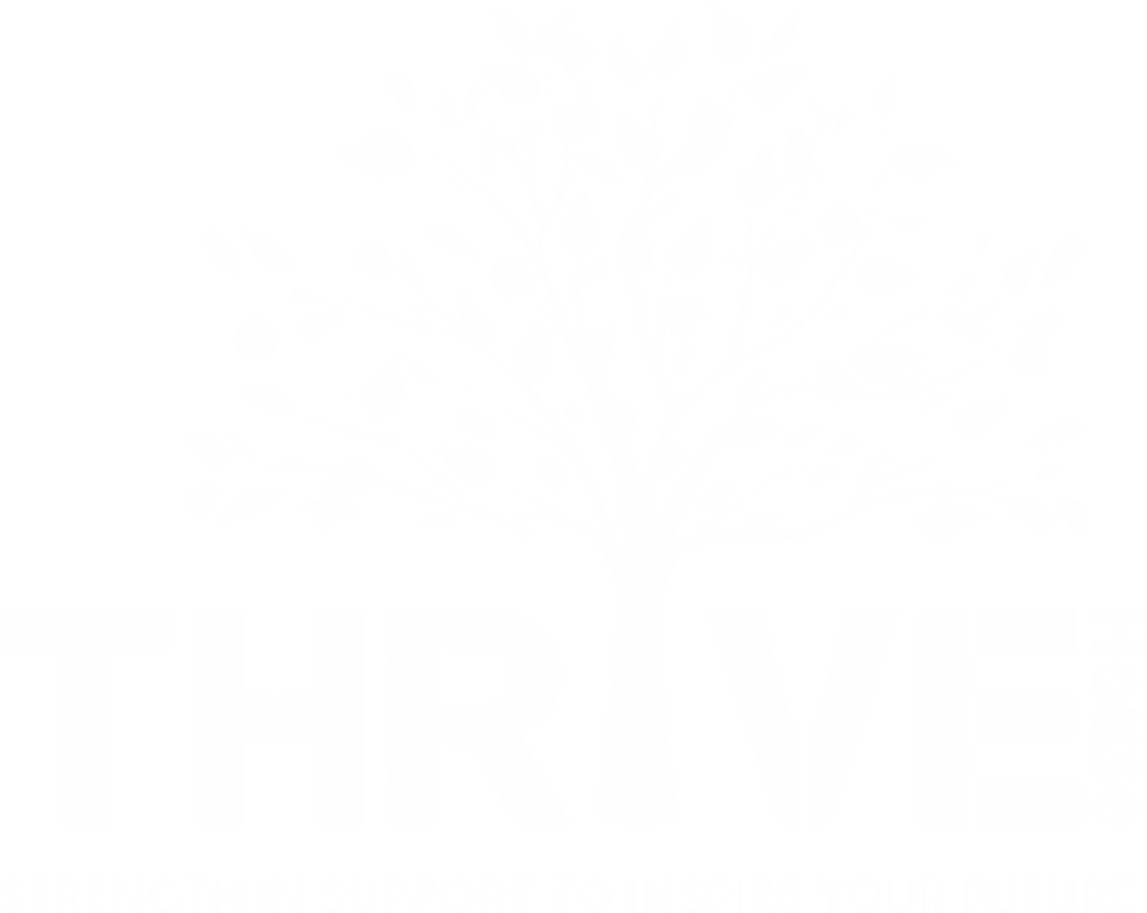 Ndis Provider Support Thrive House